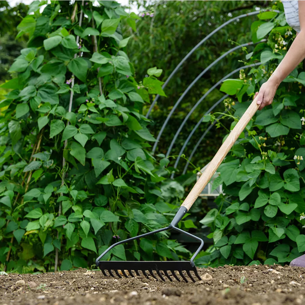 Kent & Stowe Carbon Steel Long Handled Soil Rake – Whitakers Garden Centre