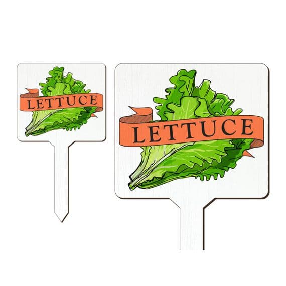 Lettuce Label Sign – Whitakers Garden Centre